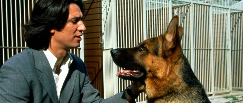 "Kommissar Rex": Sat.1 Gold zeigt Serien-Klassiker