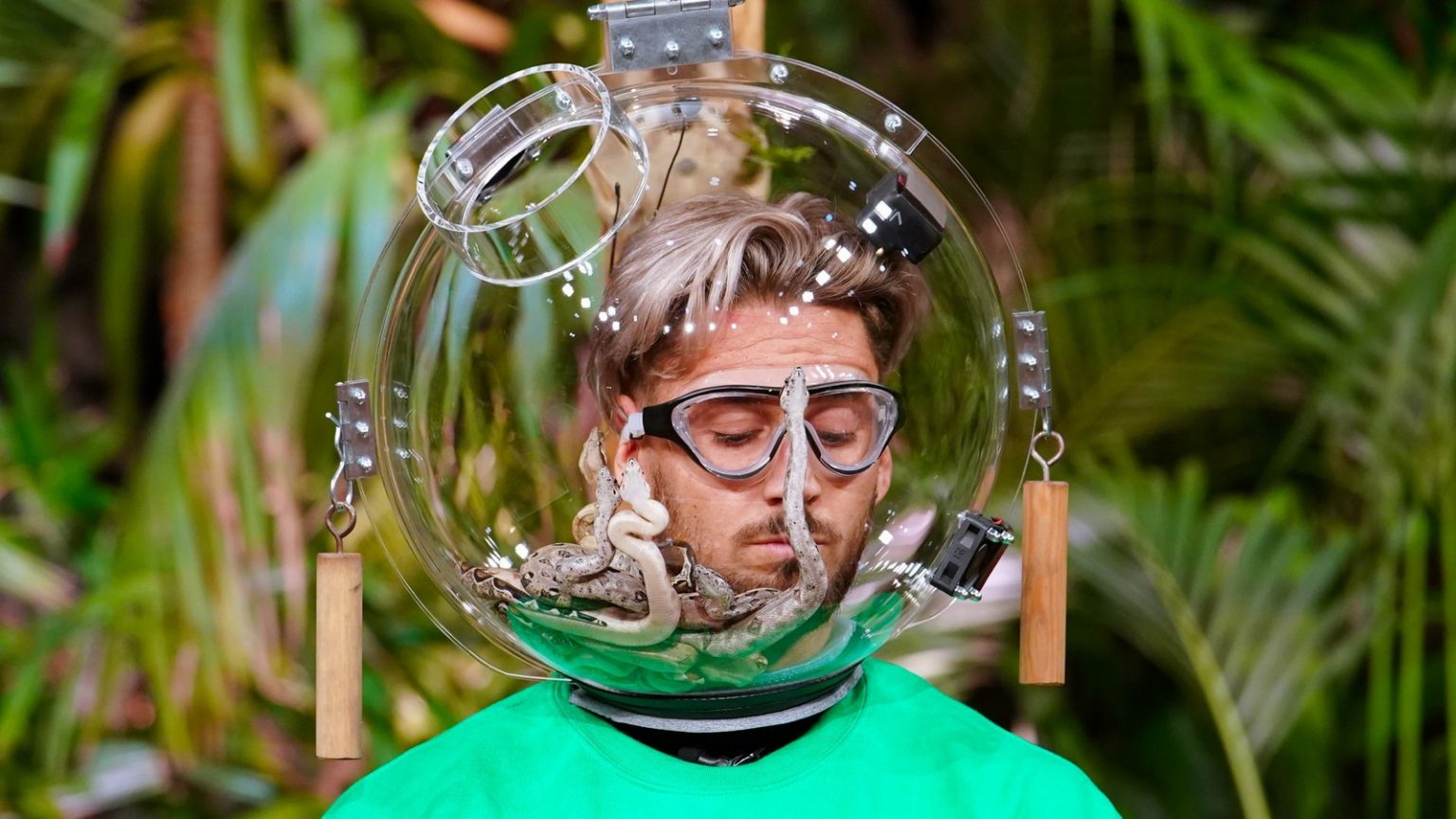 Dschungelshow 2021: In diesen Gruppen treten die Promis an!