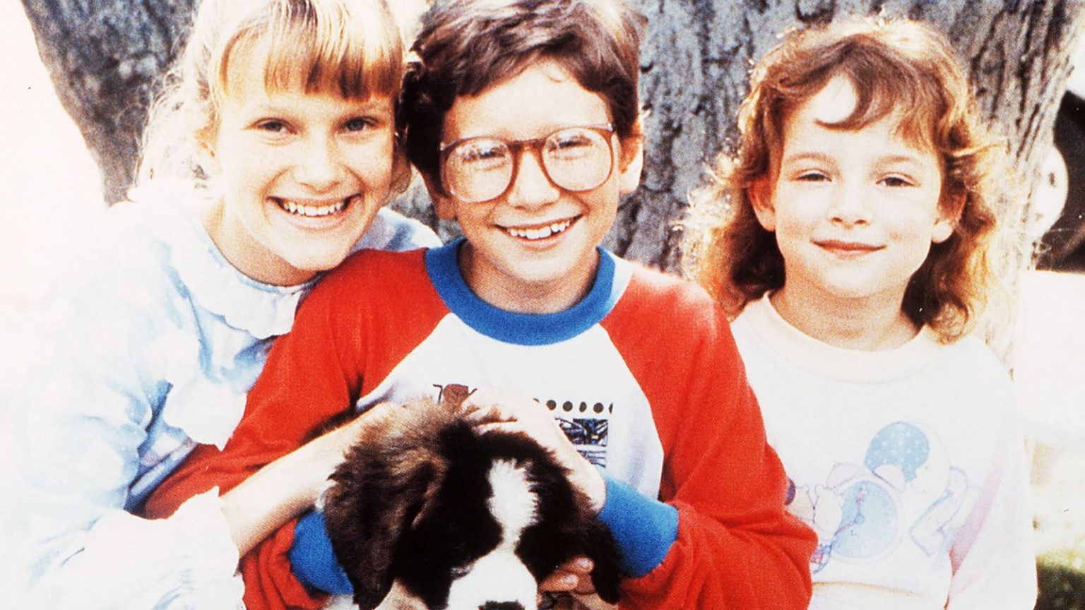 "Kevin - Allein zu Haus": Das machen die Einbrecher Harry & Marv heute