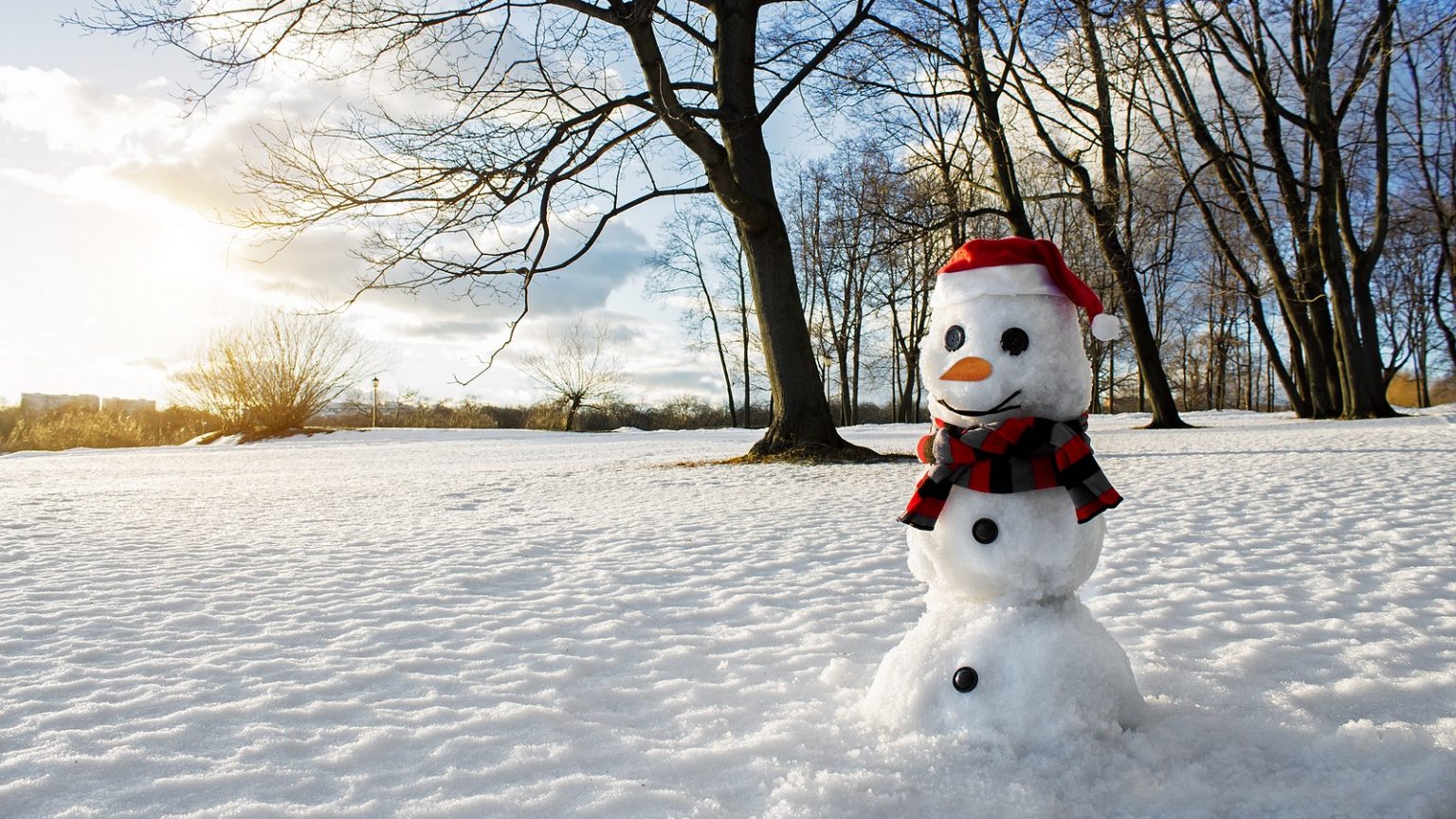 Der Winter ist da: Hier fällt der erste Schnee!